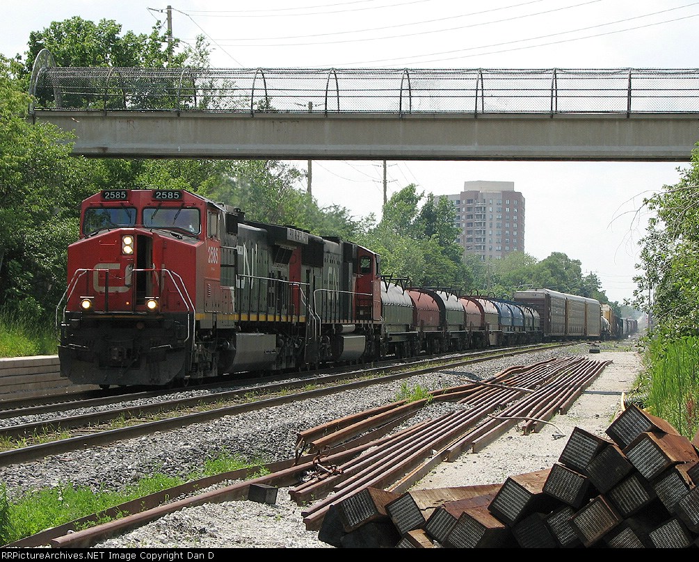 CN #338